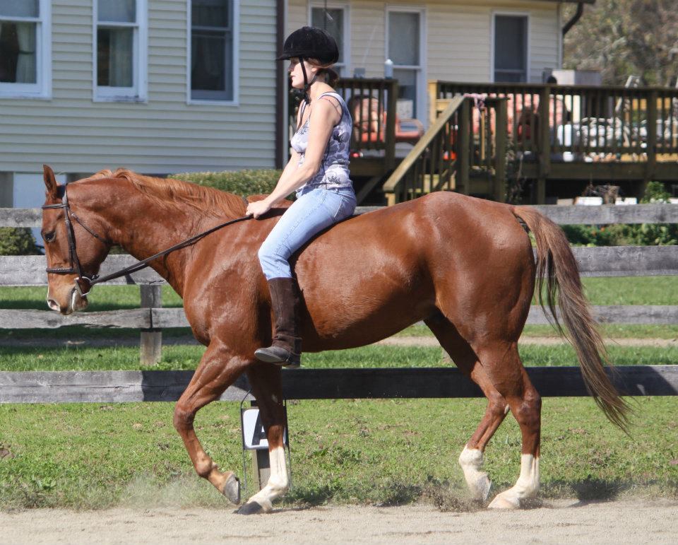 299163_655661227741_116542543_n – White Oak Stables