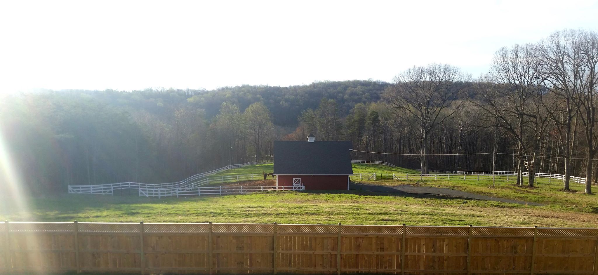 White Oak Stables | Realistic Horse Game