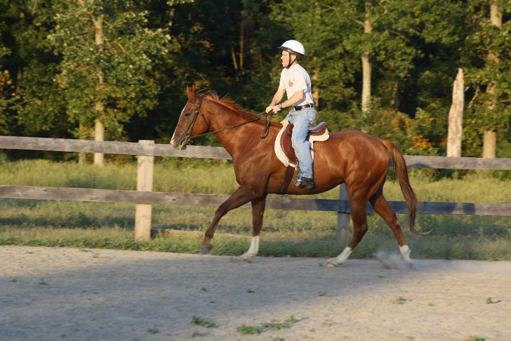 47277_846641187792_229173_n.jpg – White Oak Stables