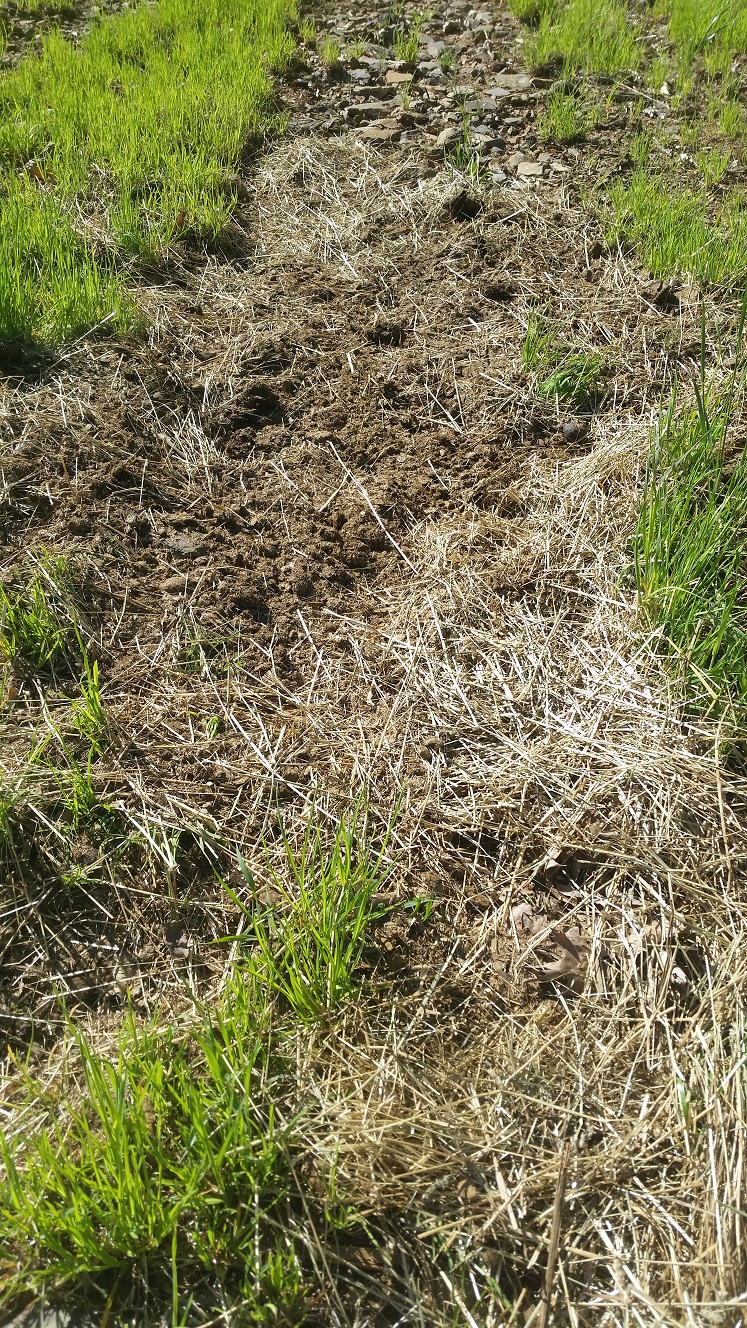 manure.jpg – White Oak Stables