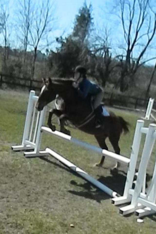 emma – White Oak Stables