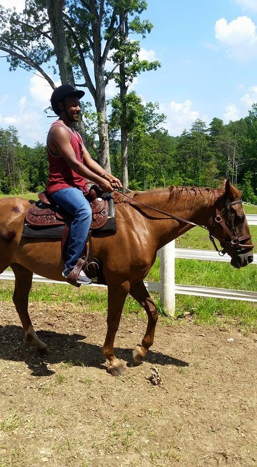 11693884_444458349094897_3043997532233521455_n – White Oak Stables