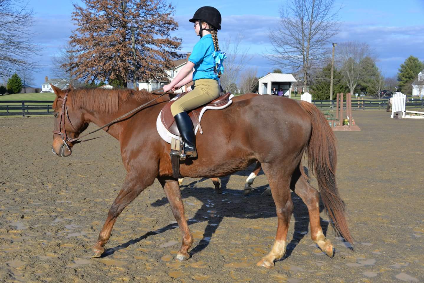 » 12485799_494540040753394_7115308711448943165_o | White Oak Stables