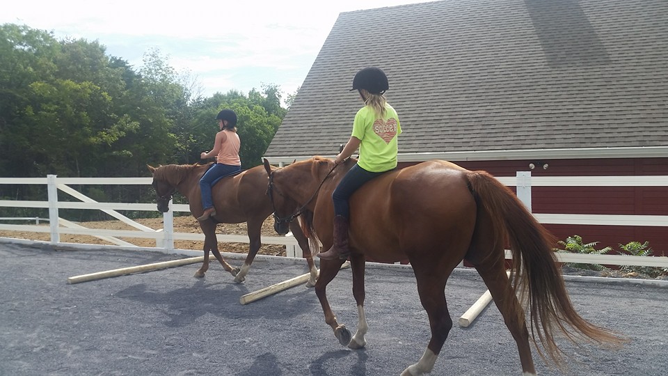 13880211_560136547527076_4326895147774435064_n – White Oak Stables