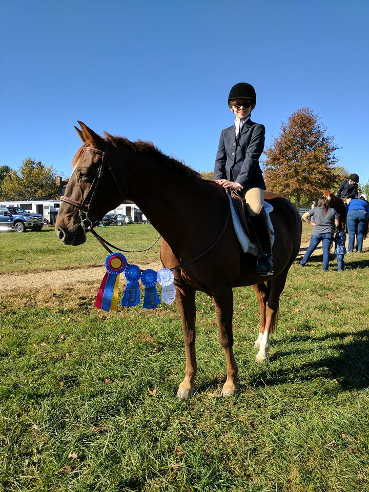 » 14907019_595813673959363_1120357804926007335_n | White Oak Stables