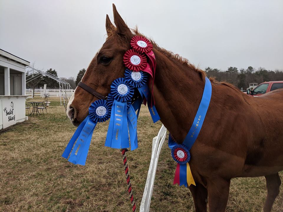 28168318_10100804039994461_8096725182921232787_n – White Oak Stables