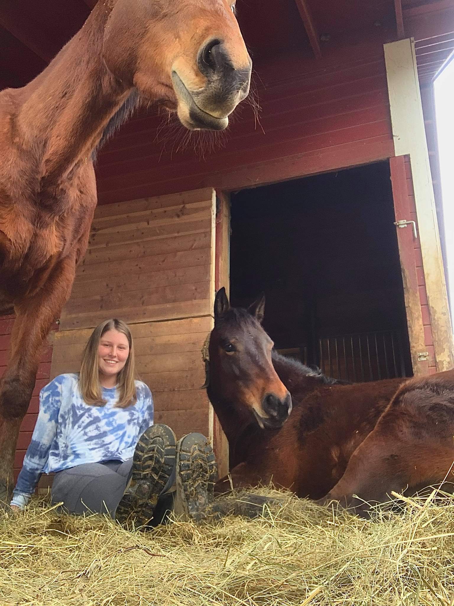 Kristy horsing around – White Oak Stables