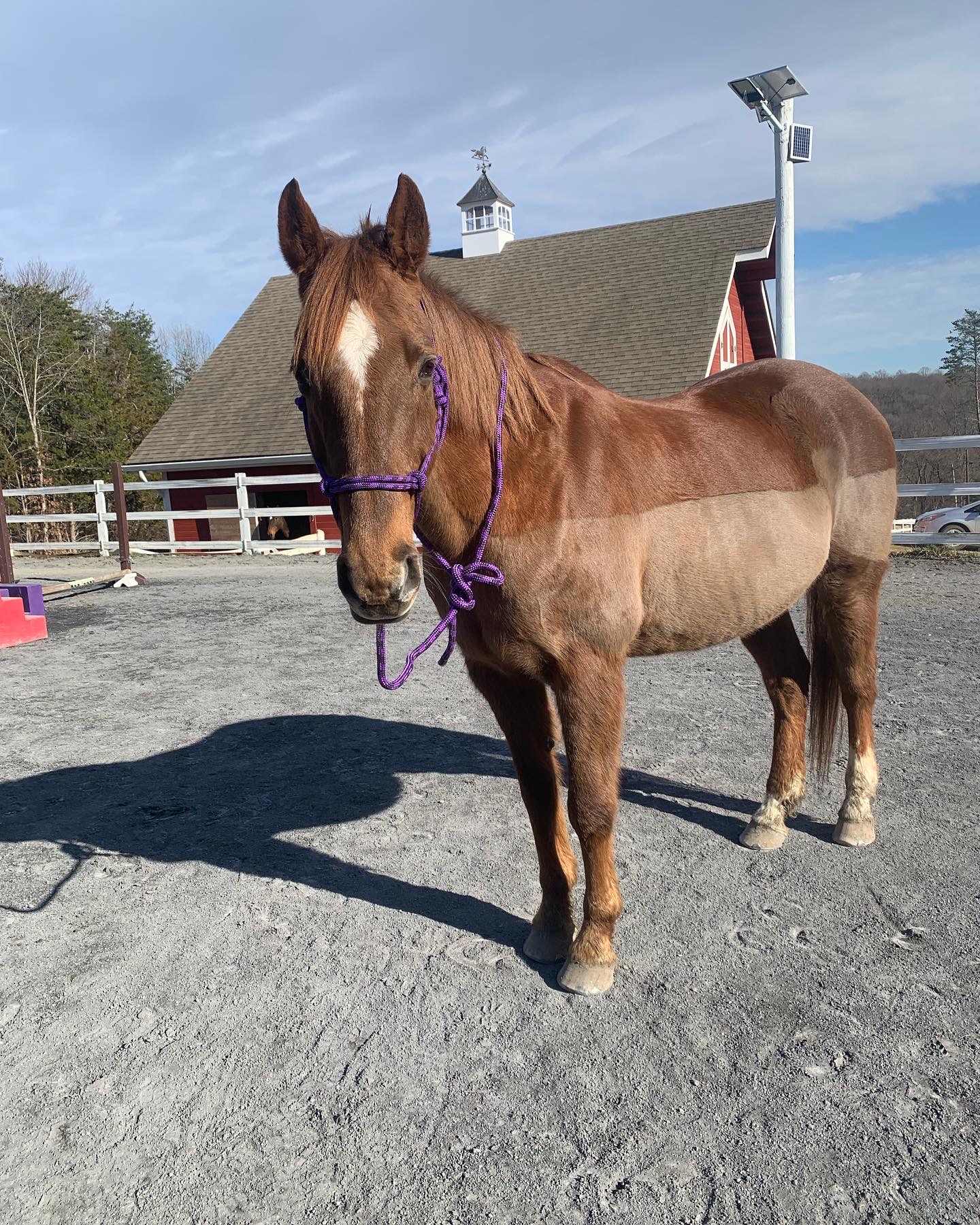 Gallery – White Oak Stables