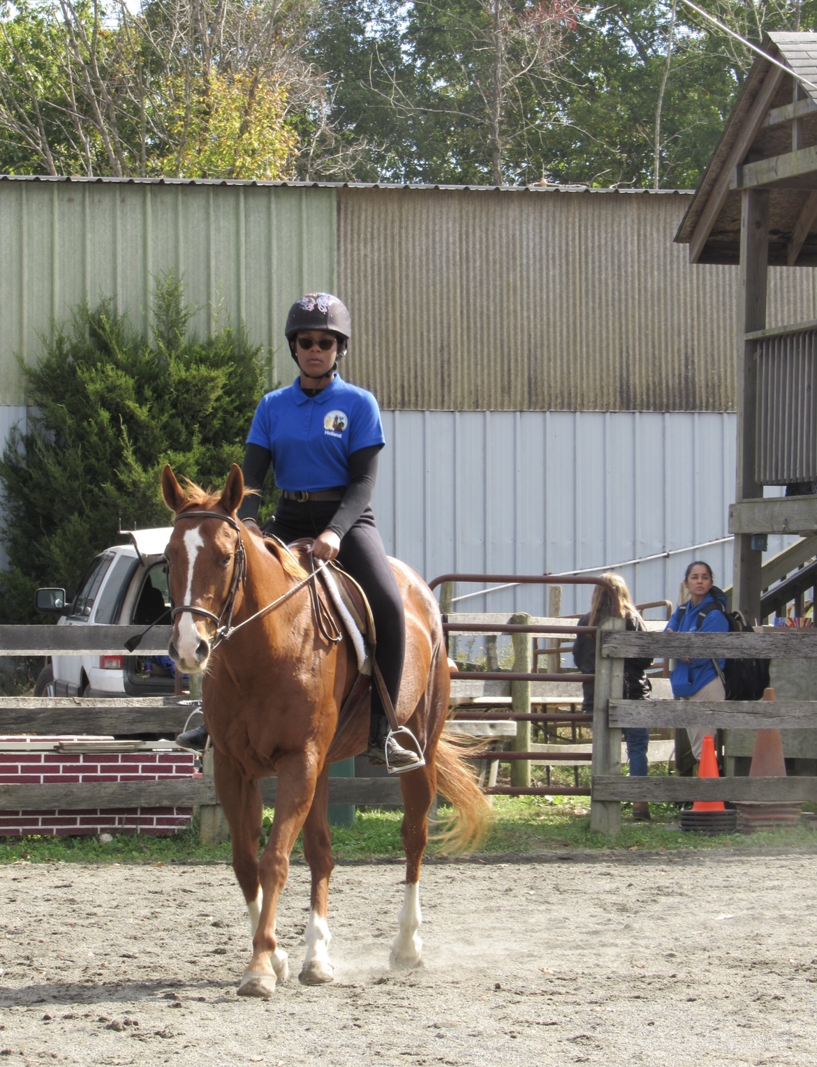 Gallery – White Oak Stables