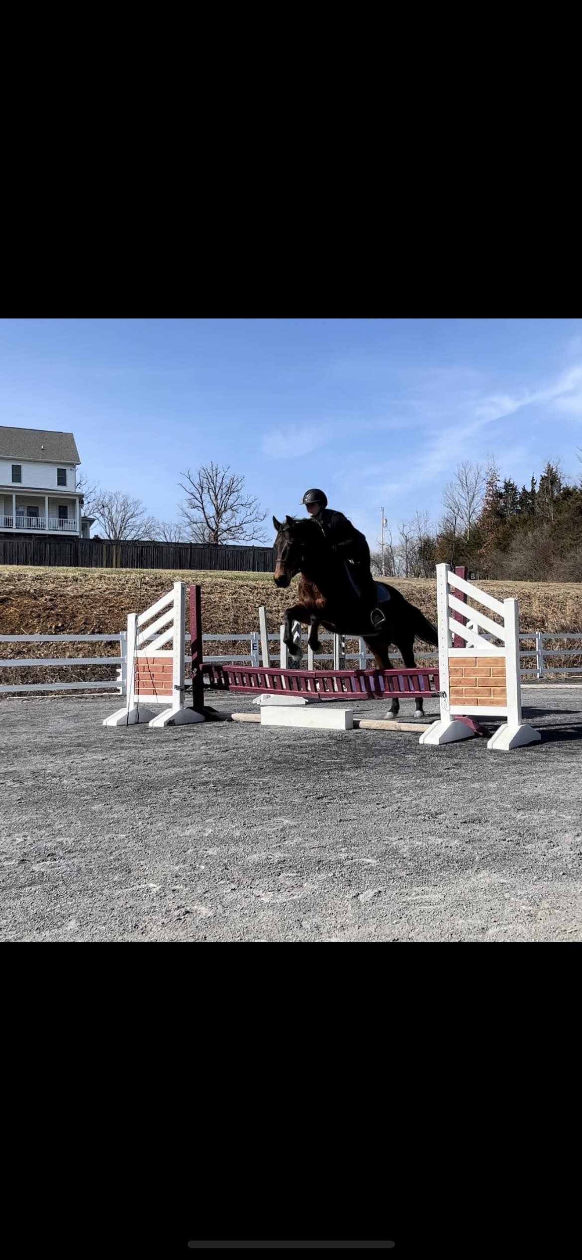 » 1000004066 | White Oak Stables