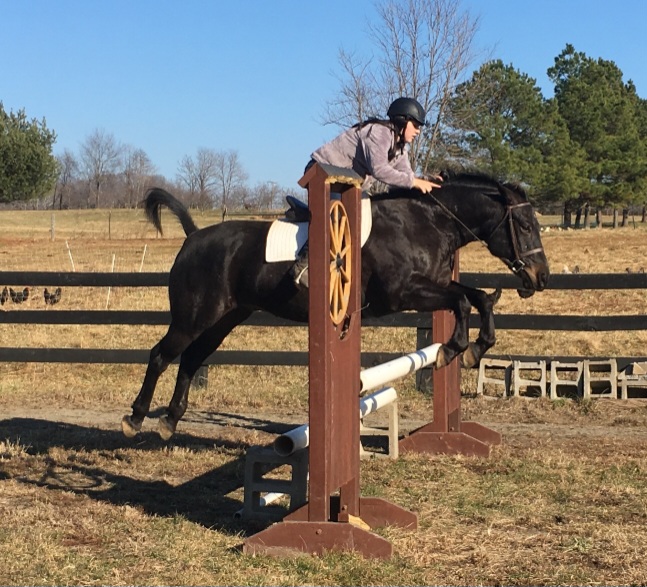 » Screenshot_20240322_125540_Chrome | White Oak Stables