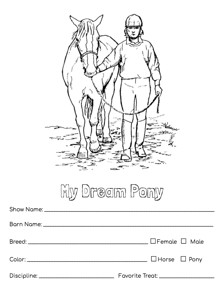 Dream Horse – Pony – White Oak Stables
