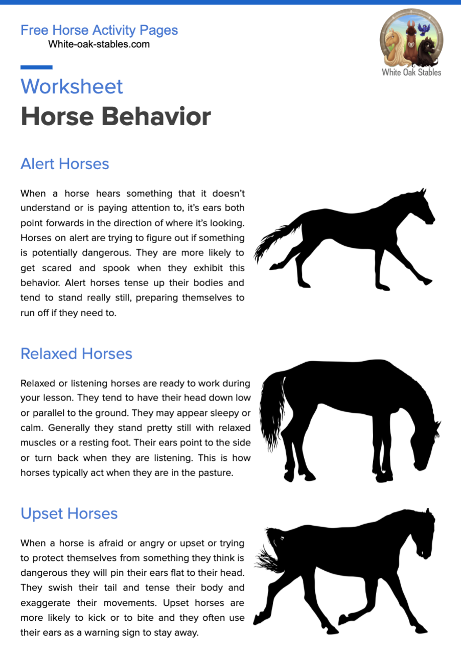 Worksheet – Horsemanship I – Horse Behavior – White Oak Stables