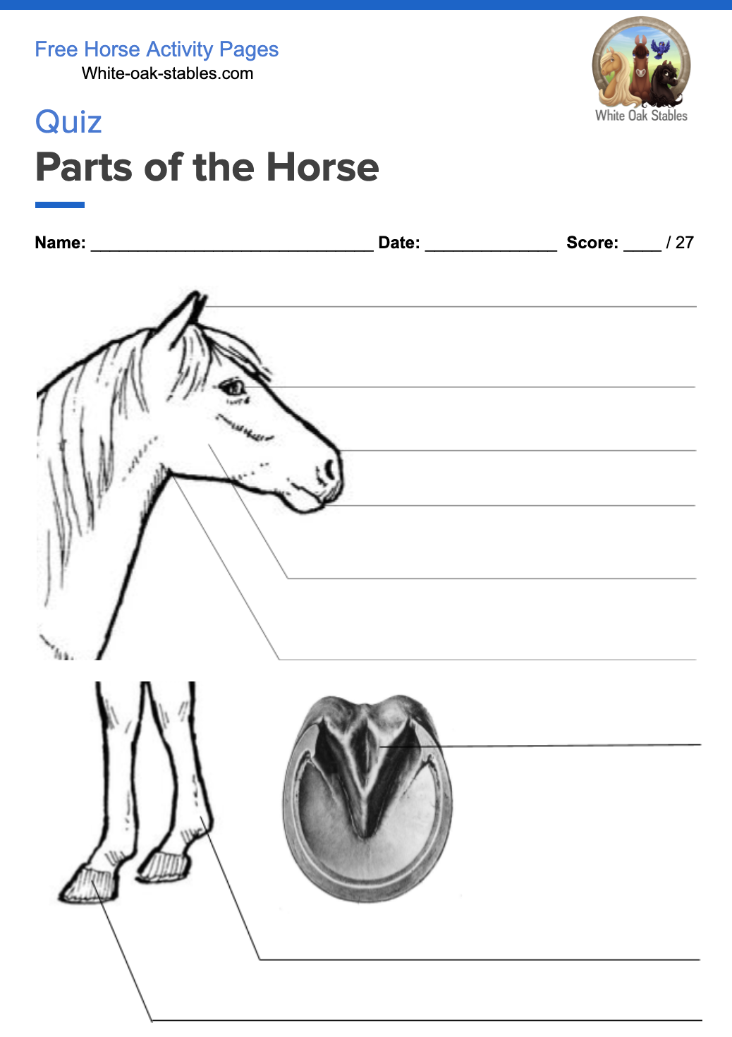 Rider Medals – Horsemanship 1 – Parts of the Horse Quiz – White Oak Stables