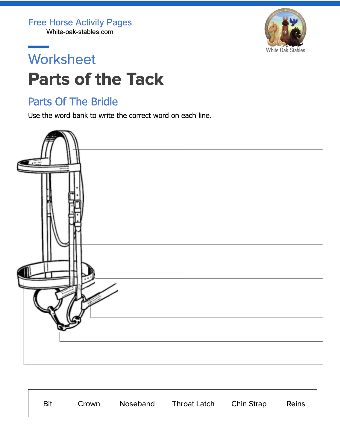 Rider Medals – Horsemanship I – Parts of the Tack – White Oak Stables