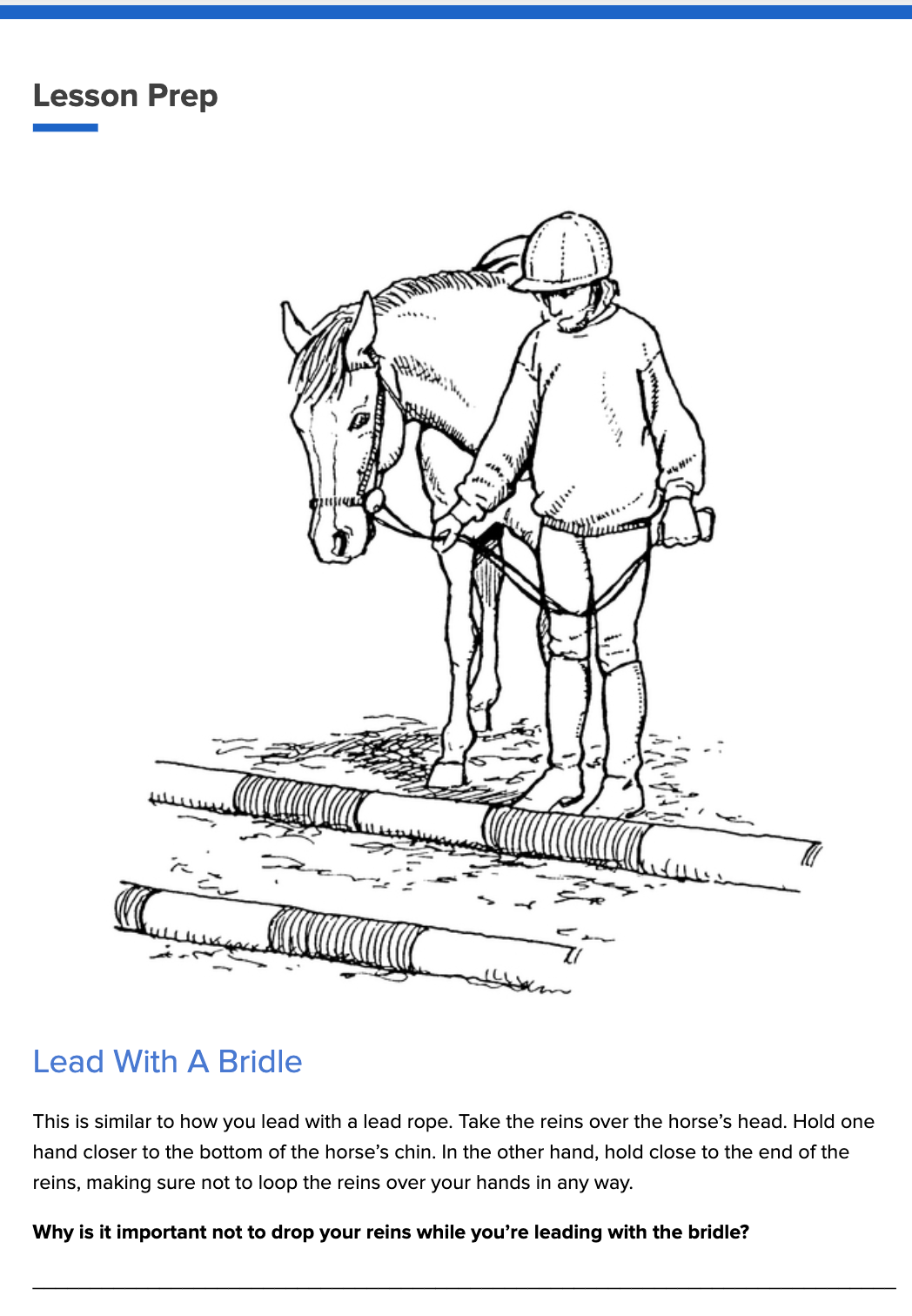 Rider Medals – Lesson Prep – White Oak Stables