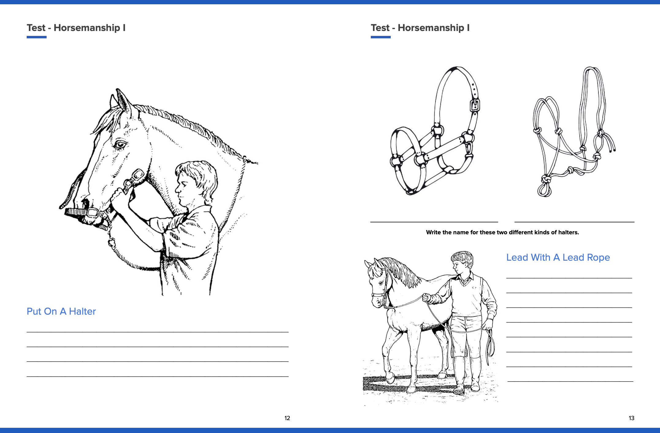Test – Horsemanship I – White Oak Stables