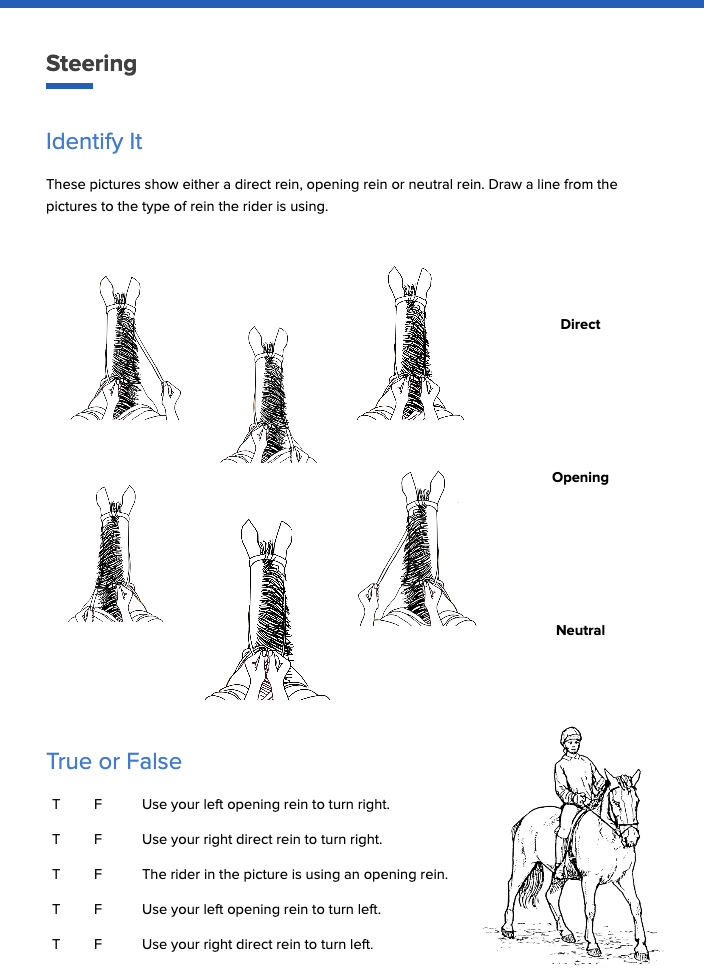 » Steering with Reins – Beginner I – Rider Medals | White Oak Stables