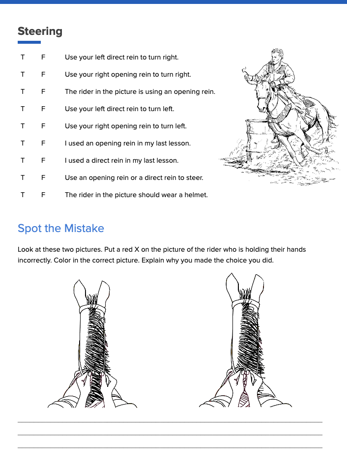 Steering with Reins – Beginner I – Rider Medals – White Oak Stables